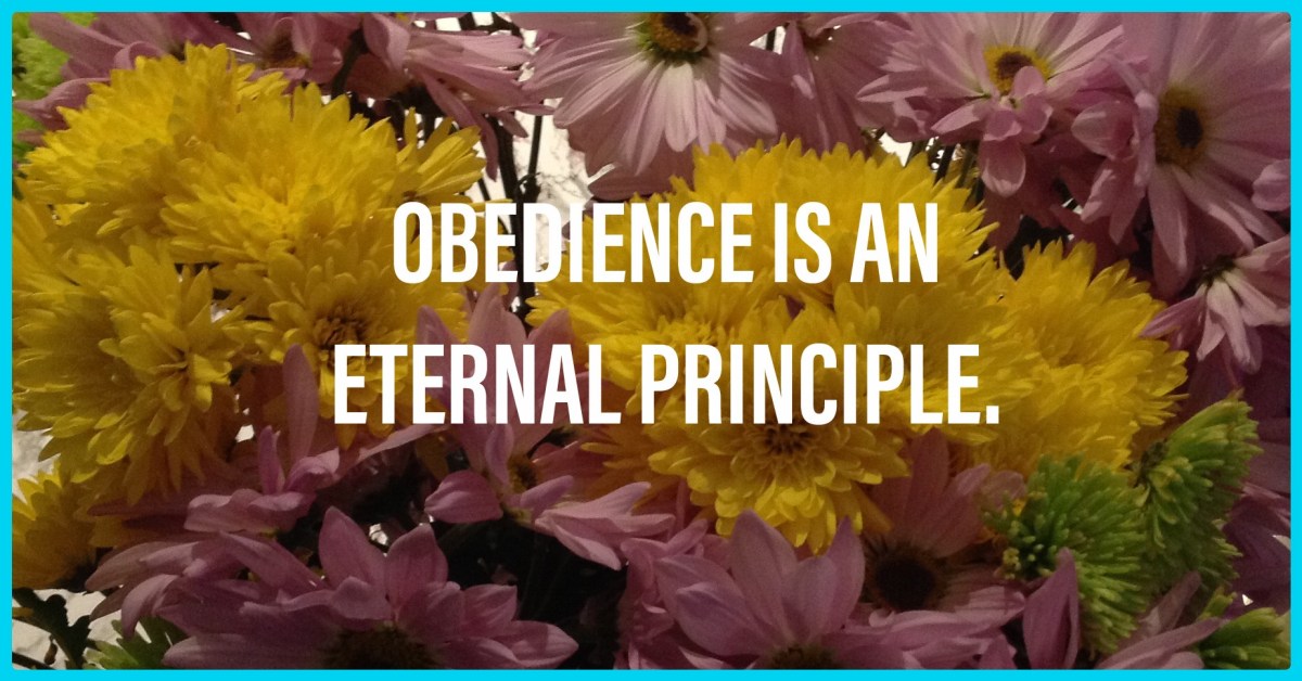 OBEDIENCE – EMOTIONS AND PAPER STRIPS