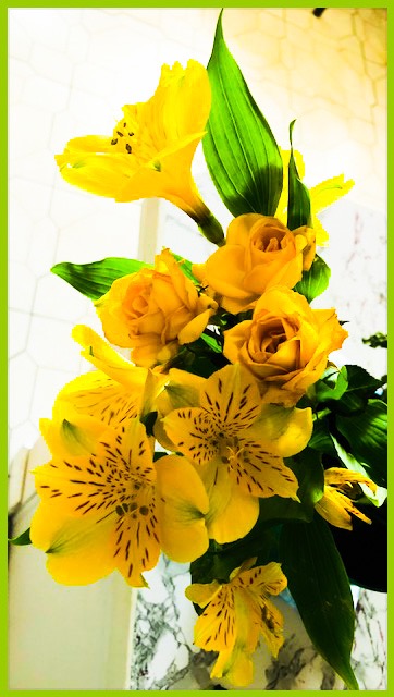 DESPERTAR LLORANDO – EMOTIONS AND PAPER STRIPS